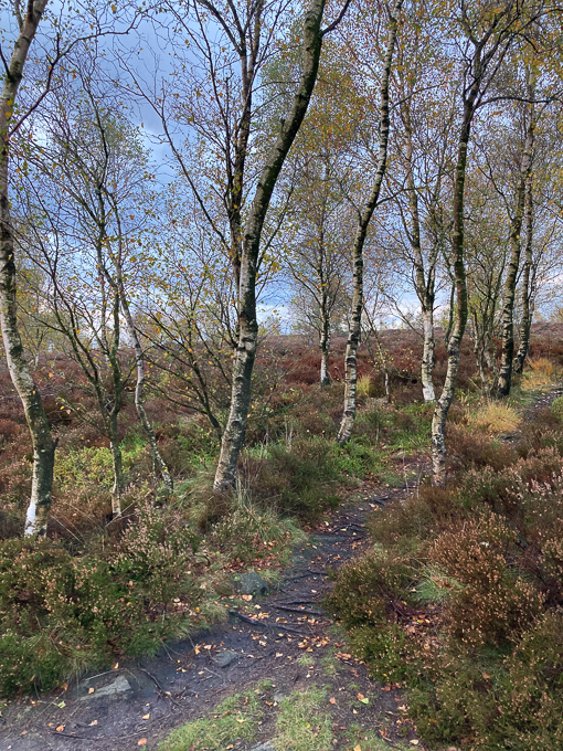 Farnhill Jubilee Pinnacle | My Tatty Sketchbook